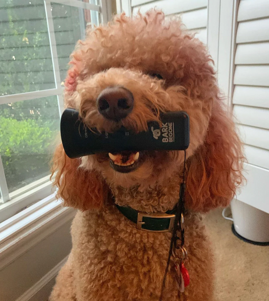 Bark Begone - Ultrasonic Dog Trainer - The Best Dog Barking Device